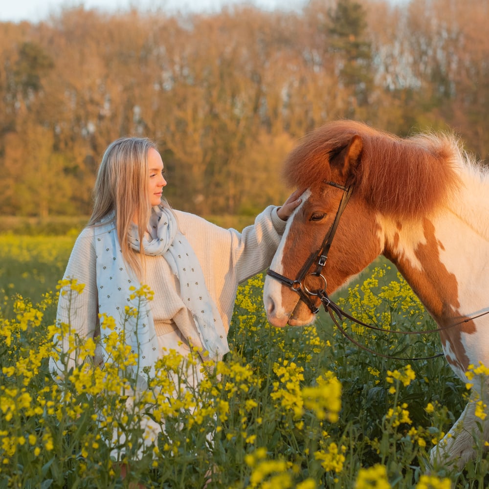 Celebrating World Bee Day: What's the buzz about bees?