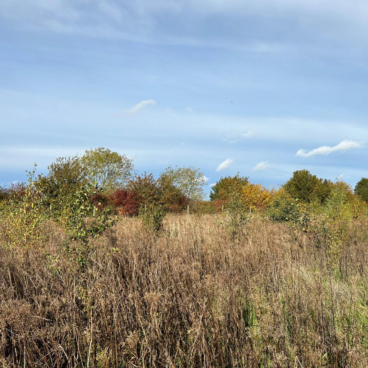 On the farm with Wrendale - Where it all began